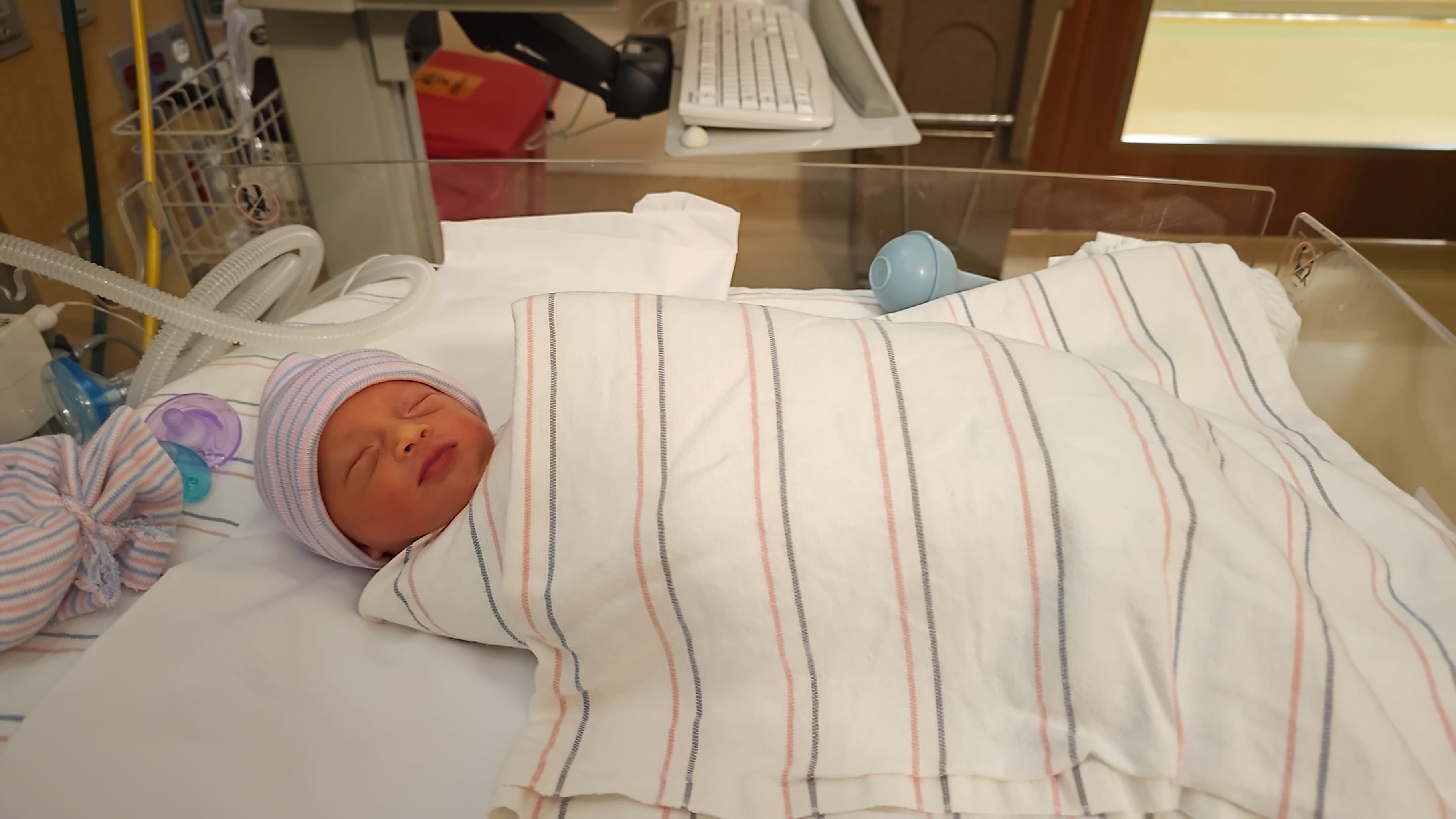 Joy, Horror, and a Four-Pound Baby – The Food That Made Me